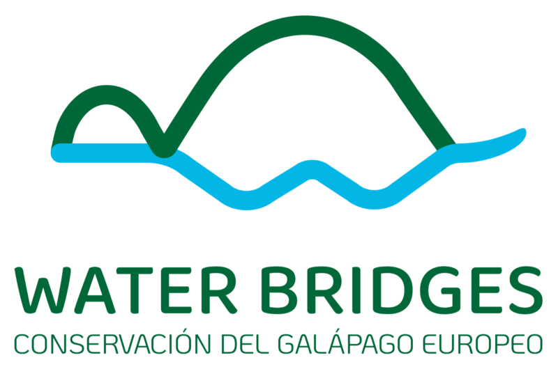 Water Bridges – GREFA Educación